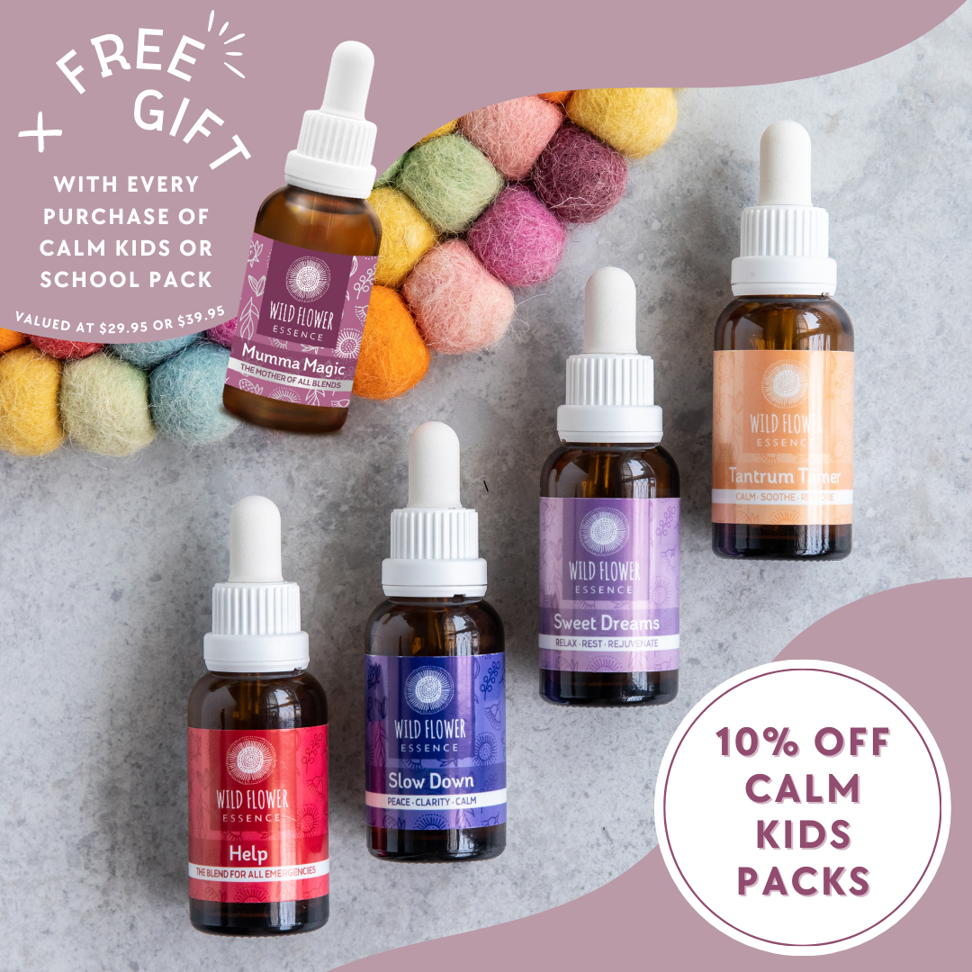 Calm Kids Pack - Looking for natural remedies to bring calm to kids ...